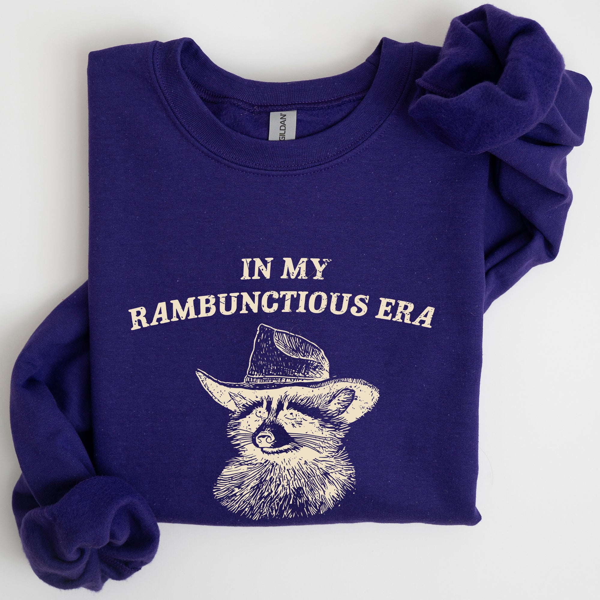 Rambunctious Era, Raccoon, Meme Sweatshirt | Refinery Number One