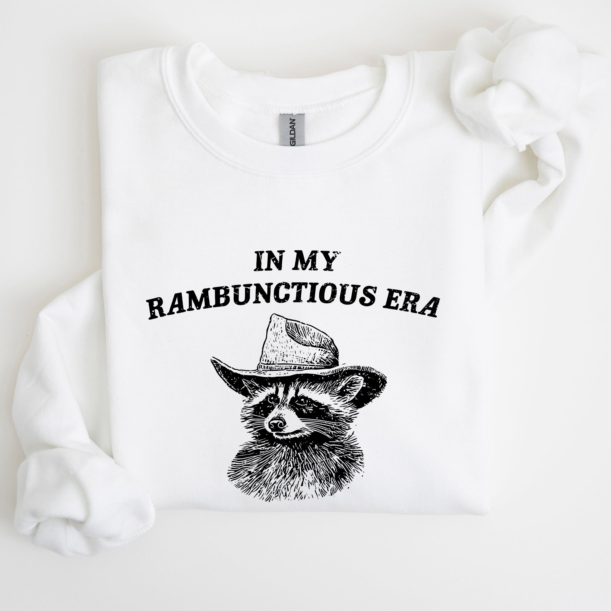 Rambunctious Era, Raccoon, Meme Sweatshirt | Refinery Number One