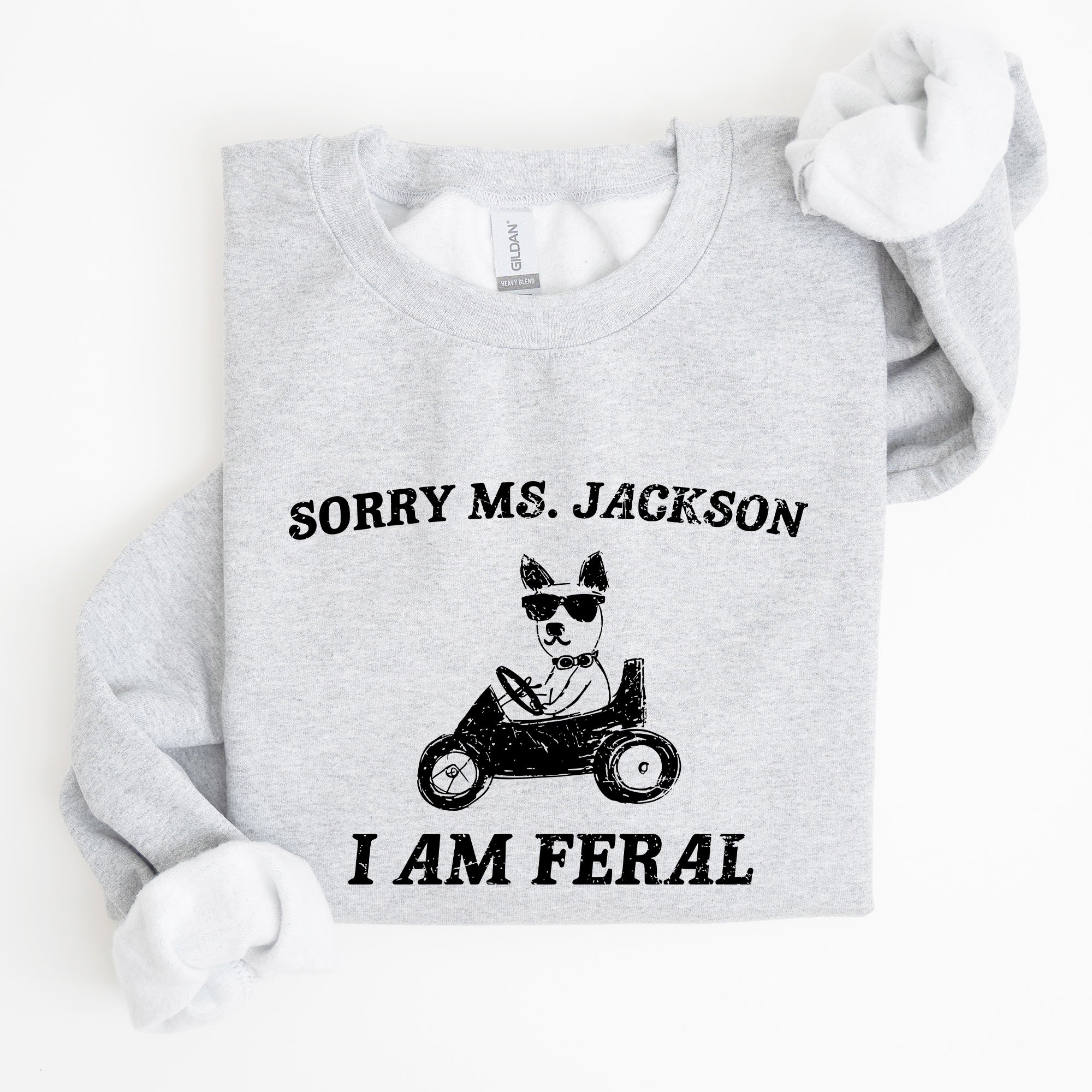 Sorry Ms, Raccoon, Meme, Aesthetic, Funny Sweatshirt | Refinery Number One